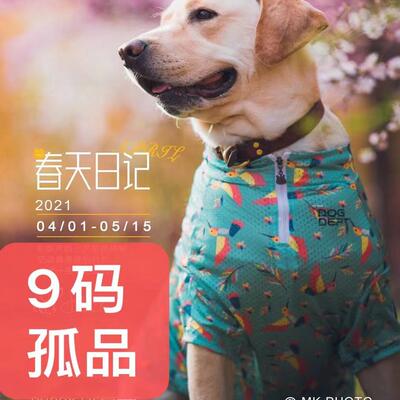 【9码孤品集合衣服】巨贵胸围76到82萨摩拉不拉多哈士奇大狗衣服
