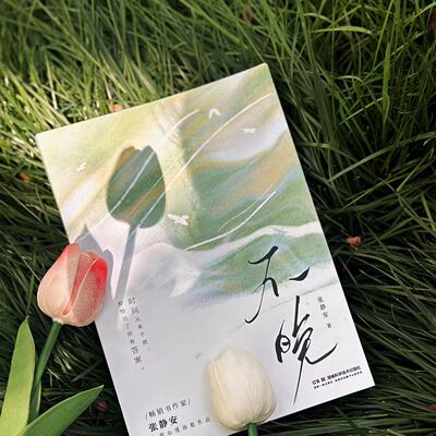 不晚   时间从来不语，却给出了所有答案 畅销书作家张静安 全新心理治愈作品 随书附金句语录卡两张    航一FX