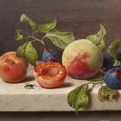 Emilie Preyer静物 水果蔬菜 花卉油画作品高清绘画学习临摹素材