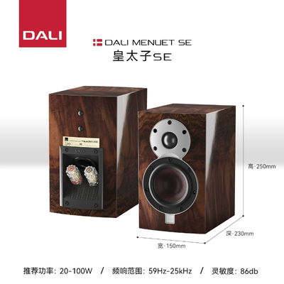 丹麦|DALI/达尼 MENUET 6皇太子6/6 SE书架音箱无源HIFI音响功放