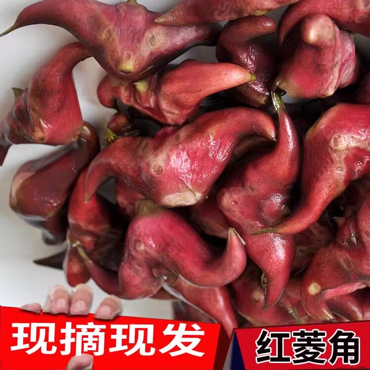 红菱角新鲜现采2025湖北洪湖特产当季水果粉糯5斤老菱角顺丰包邮
