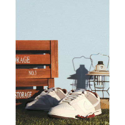 NIKE女DUNKLOWLX休闲鞋