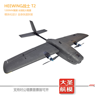 heewing固定翼飞机航模刺客T2