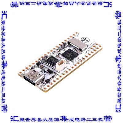 RLJDMV_AAA 开发板评估板 MARBLE PICO RP2040