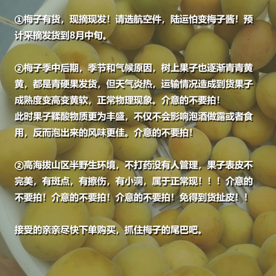 树上熟黄梅现货速发顺丰空运