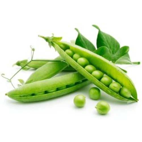 甜脆豌豆种子荷兰豆蔬菜四季播种包邮家庭阳台庭院种植农家蔬菜