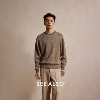 早春保暖老钱风圆领羊毛衫