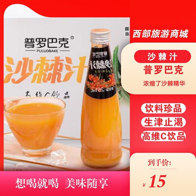 新疆特色普罗巴克风味果汁沙棘汁 果香浓郁 清甜爽口 251ml*10瓶