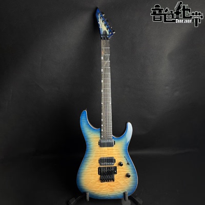 GrassRoots大双摇双双拾音器吉他