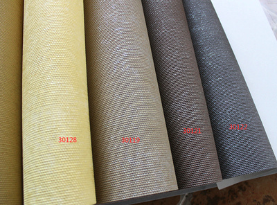 德国轻奢客厅素色墙纸