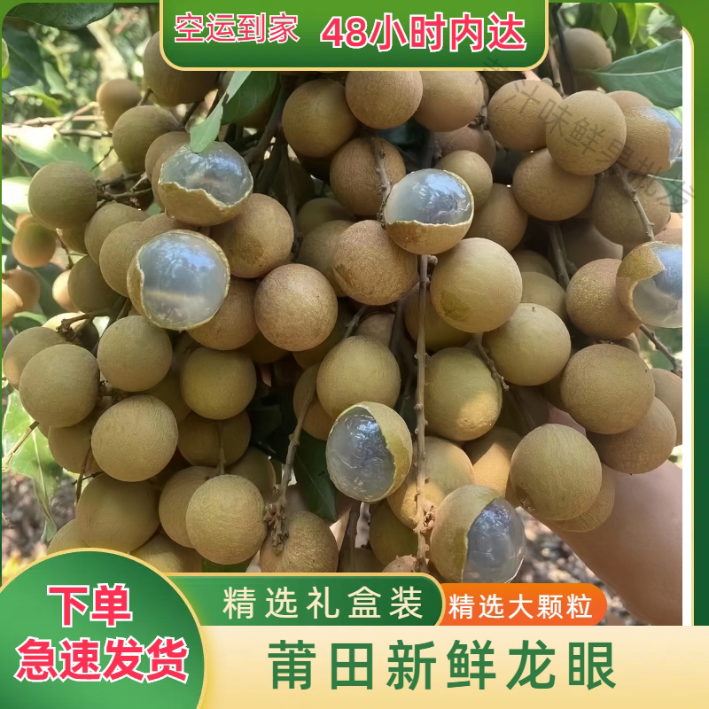 福建莆田新鲜龙眼松风本乌龙岭桂圆当季水果现摘现发一整件批发