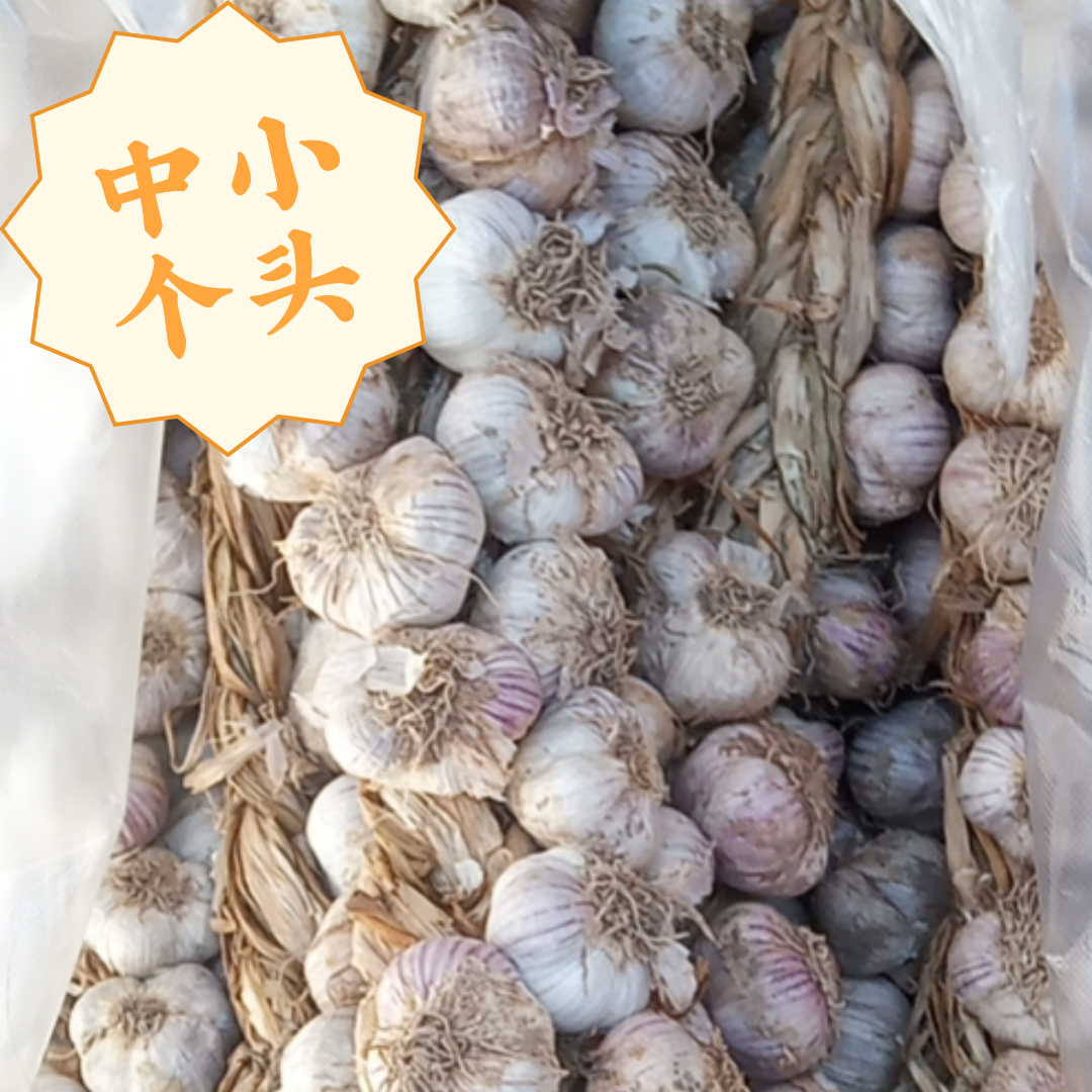 三辫中小个头正宗怀来新保安紫皮蒜,90头,不称重,包邮到家