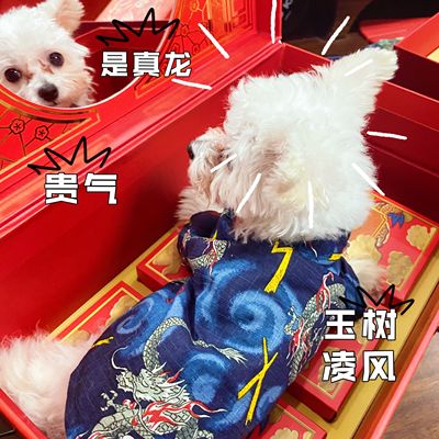 真龙天子唐装 宠物衣服狗狗服装喜庆节日中国新年帅气可爱泰迪熊