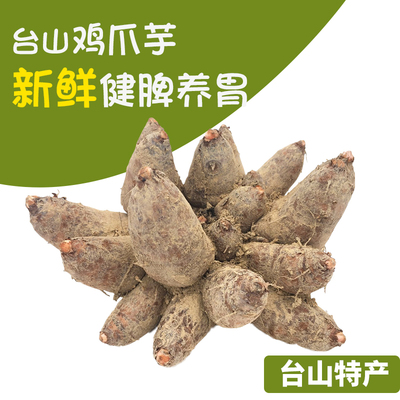 台山鸡爪芋鞋板芋养胃健脾散结