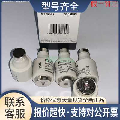 DIIIGG50V32 M229091 DIIIGG50V35 C214063 MERSEN保险丝议价