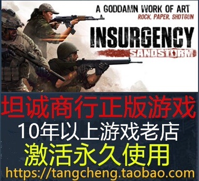 Insurgency Sandstorm 叛变 沙漠风暴 叛乱 沙漠风暴 STEAM正版PC