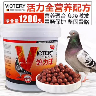 汉诺威鸽力旺幼鸽营养补体生长