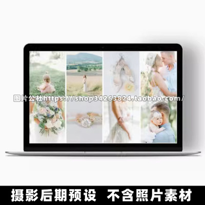 25个XMP+LR格式明亮婚礼面纱预设Veil - Classic Desktop Presets