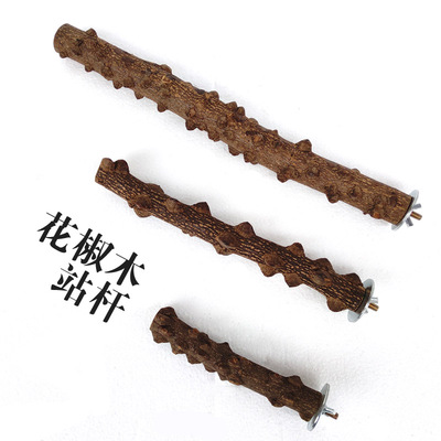 磨爪棒鹦鹉粤迪磨爪站杆
