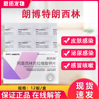 朗博特朗西林阿莫西林克拉维酸钾片宠物猫咪狗狗感冒打喷嚏流鼻涕