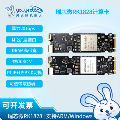 国产Ai大模型计算卡瑞芯微RK1828