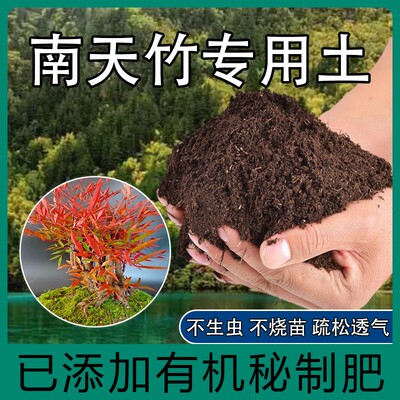 南天竹营养土专用土颗粒肥红土微酸弱酸性土壤阳台盆栽种花土园艺