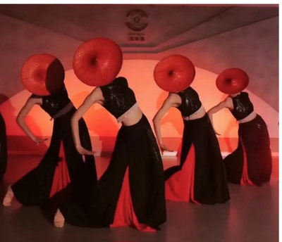 傣族舞蹈孔雀舞大摆练习裙艺考练功演出服西双版纳花腰表演装山灵