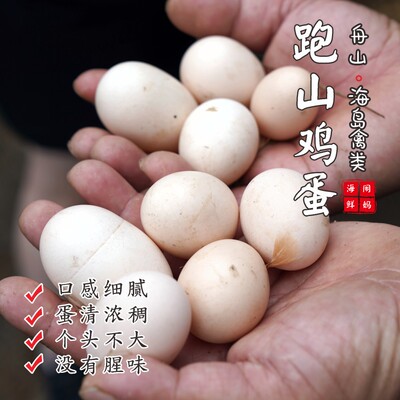 【闹妈海鲜】新品舟山鸡蛋 30枚/组 包邮（除偏远）单独发货