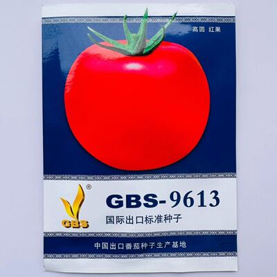 GBS-9613番茄种子早熟有限生长型红色番茄西红柿种籽春秋蔬菜种孑