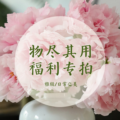 雅辑福利陶瓷器物合辑。