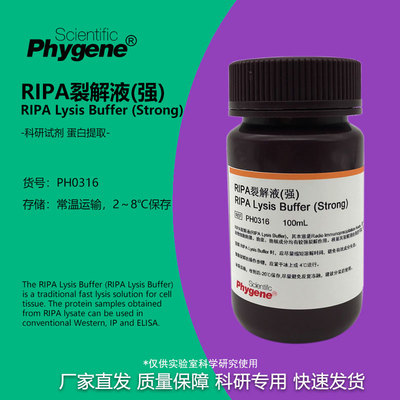 RIPA裂解液phygene蛋白提取