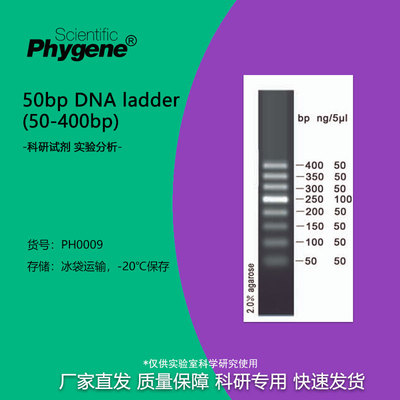 核酸电泳50bpDNAMarkerladder