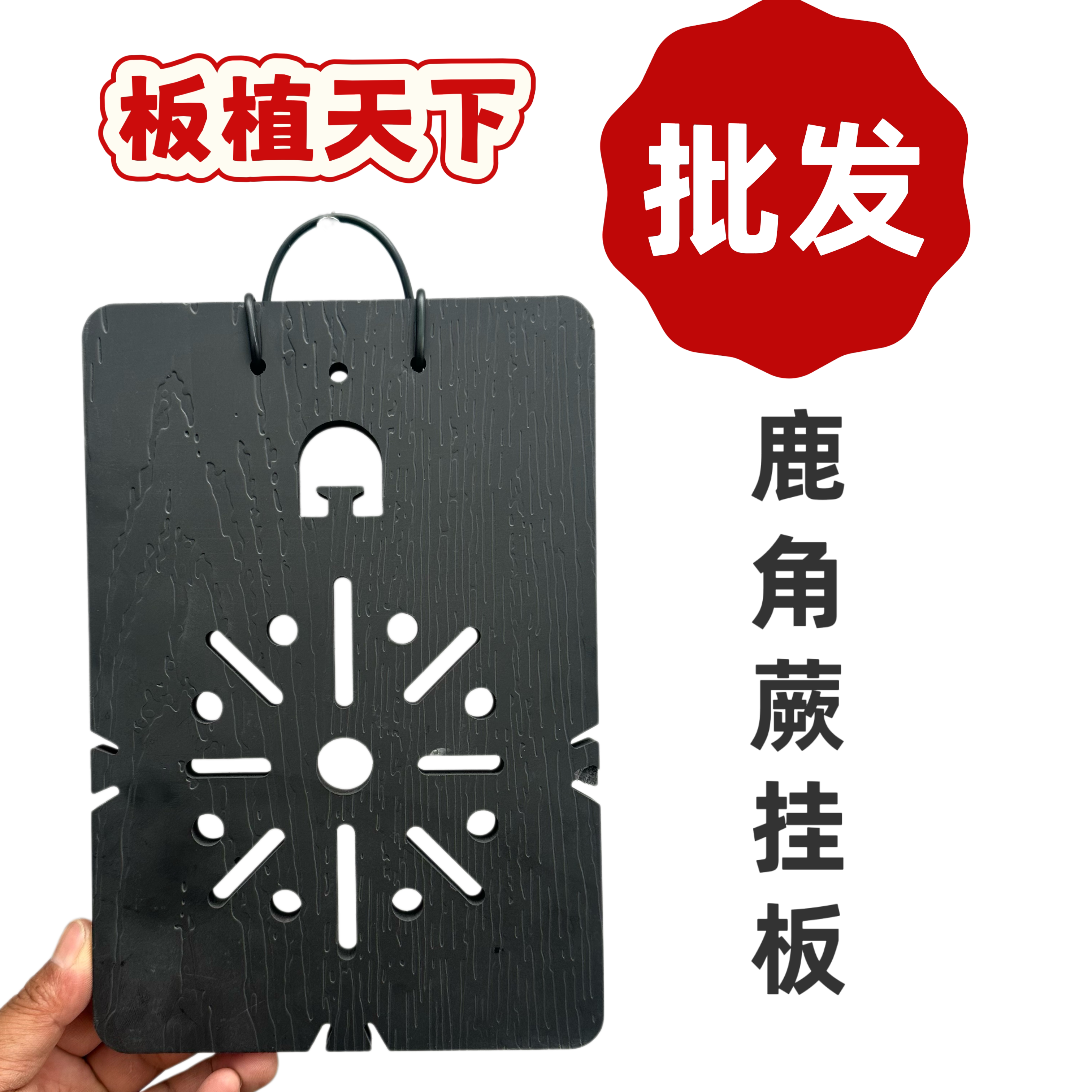 鹿角蕨挂板批发商用挂板热植板洞洞板植鹿角蕨高端挂板种