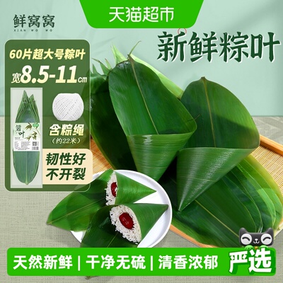 鲜窝窝端午节绿色健康粽叶
