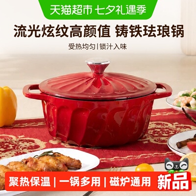 VISIONS珐琅锅铸铁锅家用炖锅