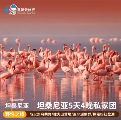 坦桑尼亚5天4晚私家团 塔兰吉雷+恩戈罗恩戈罗+纳特龙湖