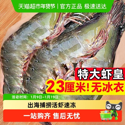 海仙部落鲜活速冻特大虾青岛虾