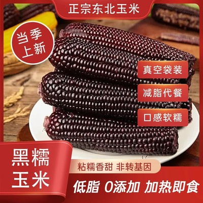 黑糯玉米东北黑玉米真空装2025新鲜加热即食整箱大棒苞米黄粘玉米