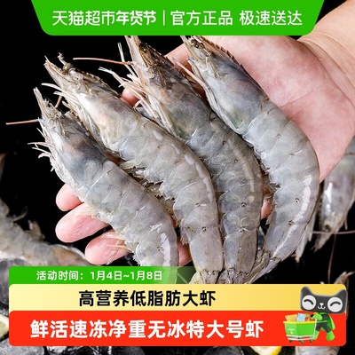 渔游记厄瓜多尔南美白虾