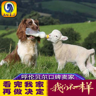 呼伦贝尔旅游包车3天