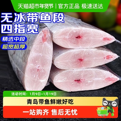 海仙部落带鱼新鲜冷冻无冰特级