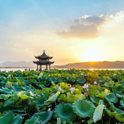 纯玩 华东旅游 上海迪士尼苏州杭州西湖乌镇西塘5天4晚跟团游