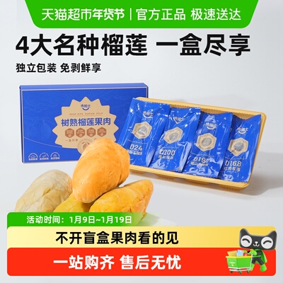 市舶士树熟榴莲果肉组合