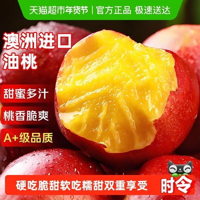 京运达澳洲进口黄油桃整箱