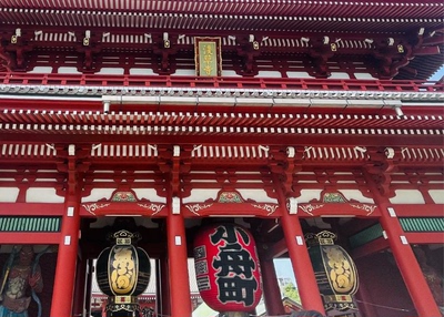 【含机票和个签】日本东京大阪京都奈良富士山9天8晚半自助游