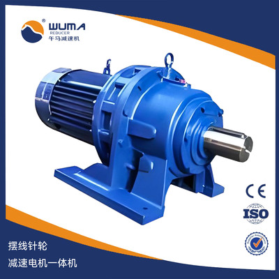 午马BWD卧式BLD立式纯铜电机