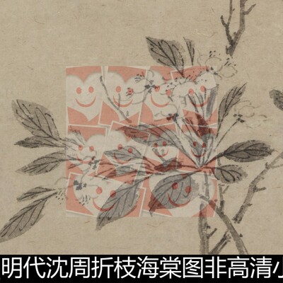 VBQ明代沈周折枝海棠图非高清小图高清素材资料参考1 94.5MB