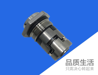 多级泵机械密封DSLS/DSL-12/16/22/32SSIC耐高温耐磨水封轴封