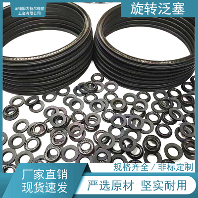 LTULIIE旋转泛塞封TVM密封圈