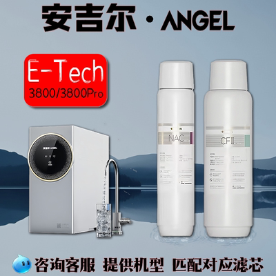 安吉尔净水器滤芯E-Tech3800原装正品纯水机NAC滤芯CFII复合滤芯